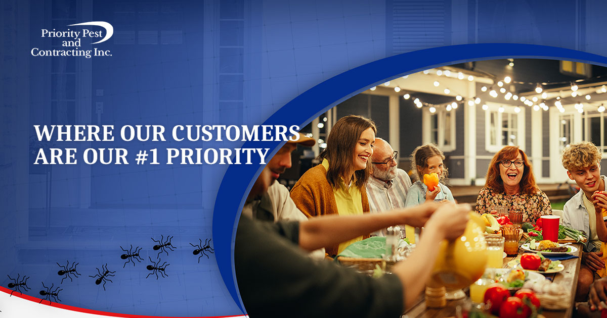 Pest Control in Anderson, SC | Priority Pest & Contracting, Inc.